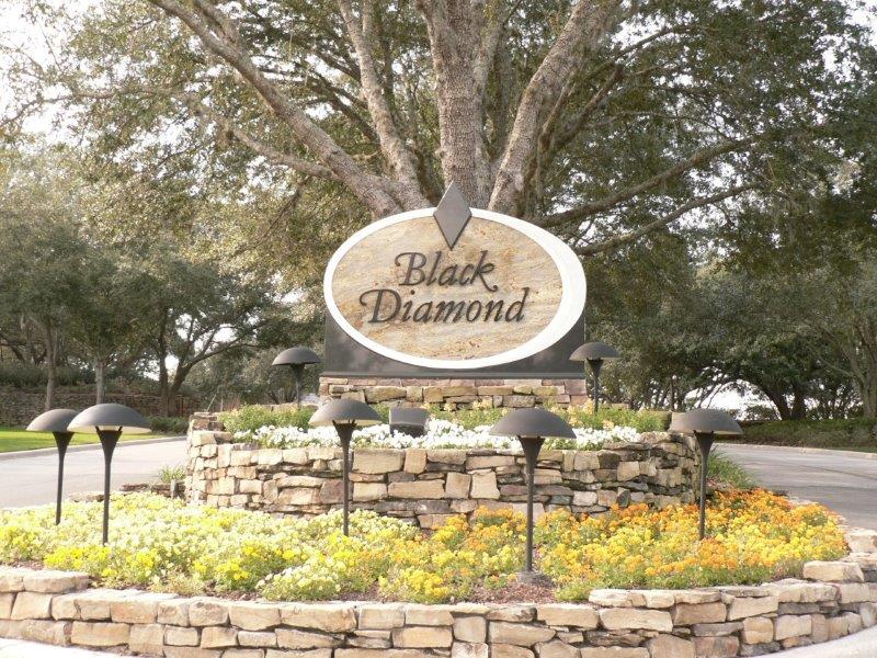 Black Diamond Florida Real Estate For Sale, Homes In Black Diamond ...