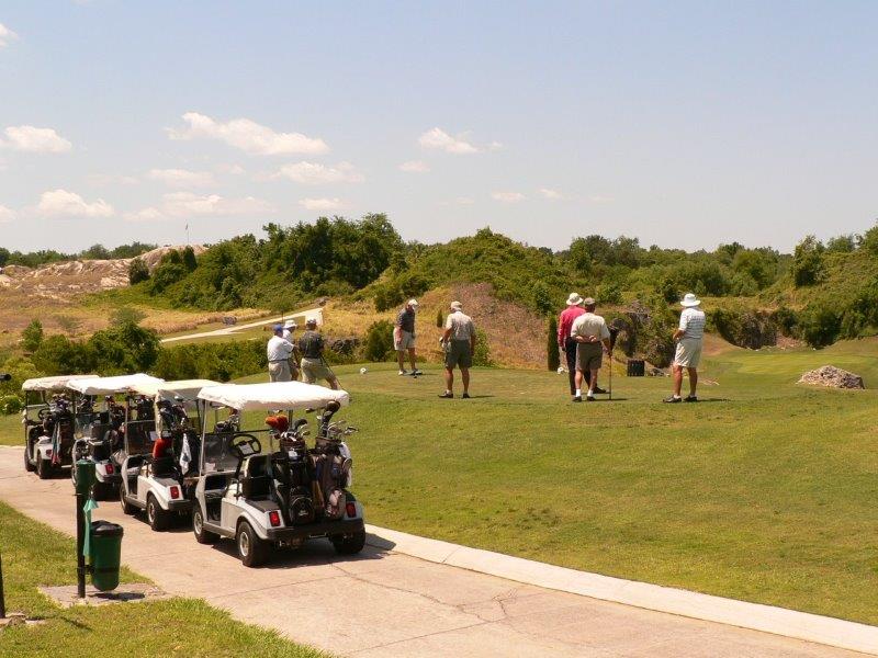 Black Diamond Florida Real Estate For Sale, Homes In Black Diamond ...